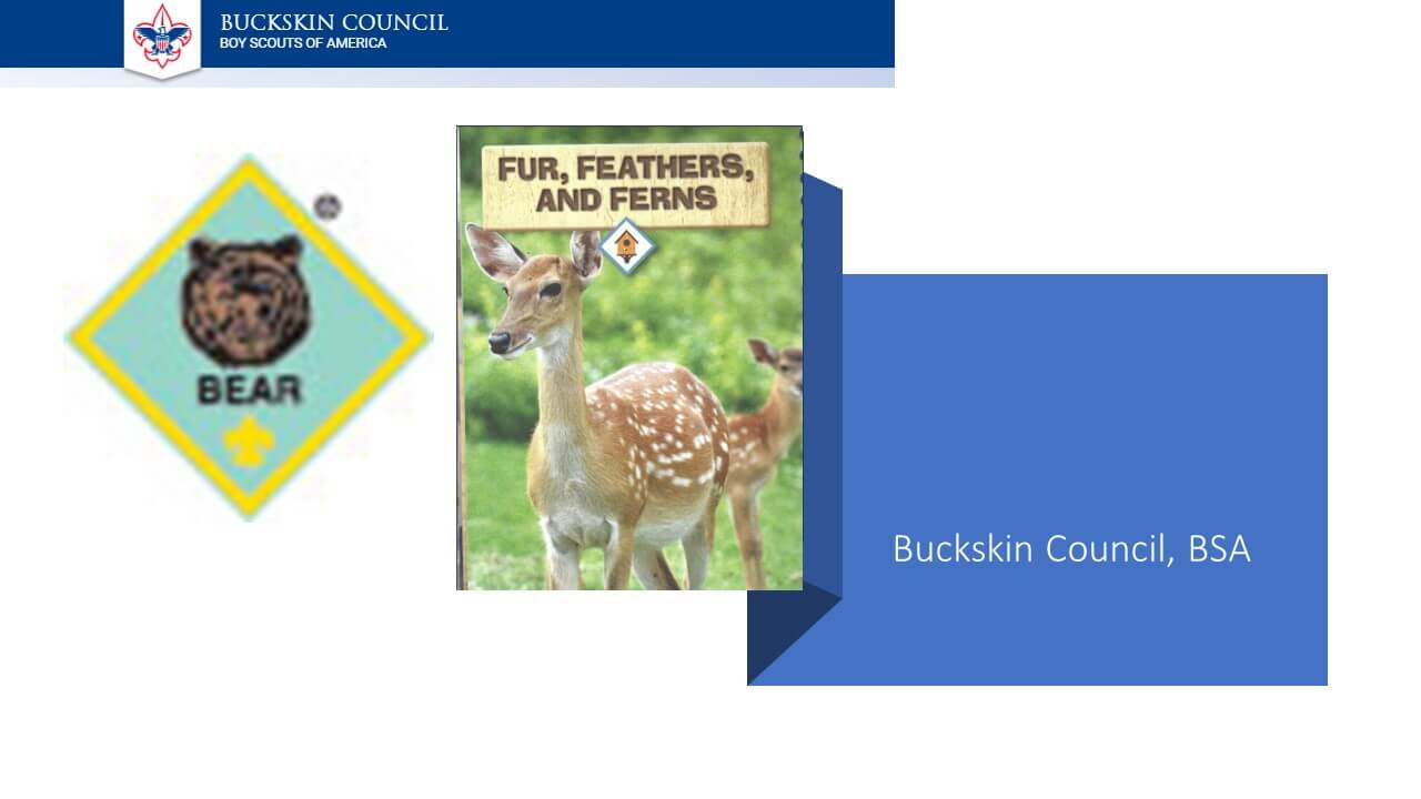 Adena District Cub Adventure Videos