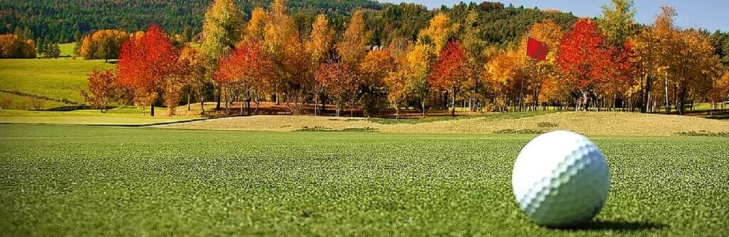 Buckskin Council - Buckskin Council